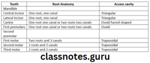 Pulp Space Anatomy And Access Cavities Question And Answers - Class Notes