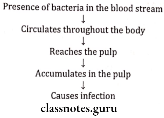 Diseases Of Pulp Question And Answers - Class Notes