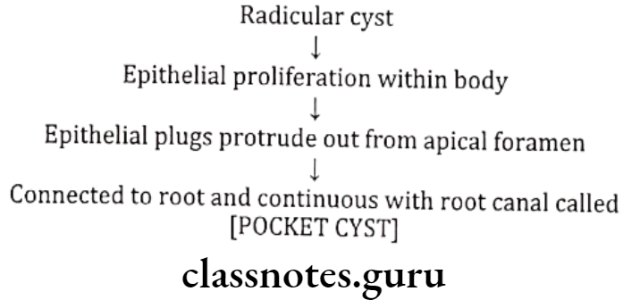 Diseases Of Pulp Question And Answers - Class Notes
