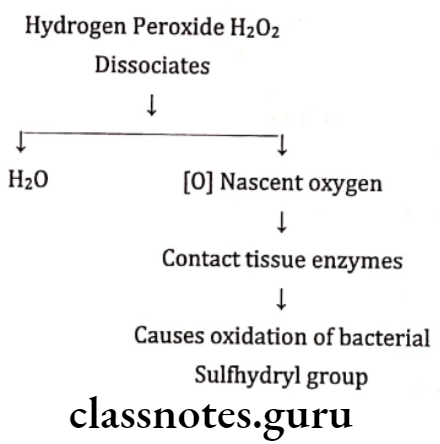 Irrigation And Intracanal Medicaments Question And Answers - Class Notes