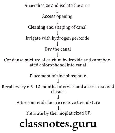 Endodontics Miscellaneous Question And Answers - Class Notes