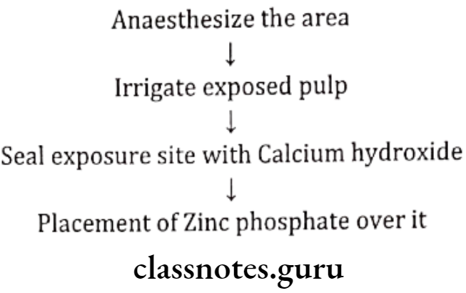 Endodontics Archives - Class Notes