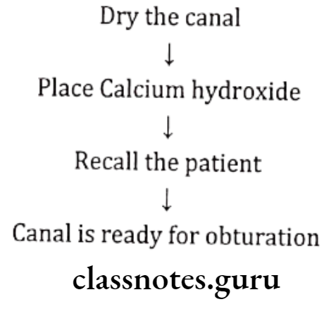 Endodontics Miscellaneous Question And Answers - Class Notes
