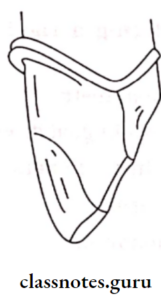 Fixed Partial Denture - Class Notes