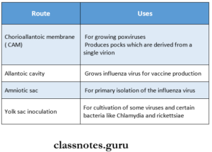General Properties Of Viruses Virology Short And Long Essay Question ...
