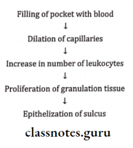 Gingival Curettage - Class Notes