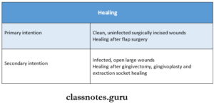 Pathology Of Healing And Repair Question And Answers - Class Notes
