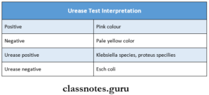 Identification Of Bacteria Question And Answers - Class Notes