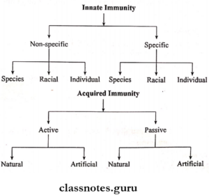 Immunology Archives - Class Notes