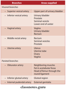 Blood Vessels Of Abdomen And Pelvis Question And Answers - Class Notes