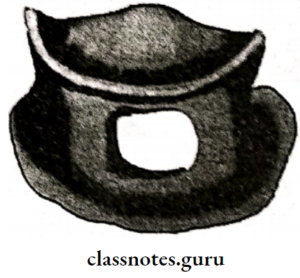 Maxilofacial Surgery Archives - Class Notes