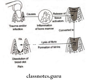 Maxilofacial Surgery Miscellaneous Question And Answers - Class Notes