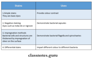 Morphology And Physiology Of Bacteria Question And Answers - Class Notes