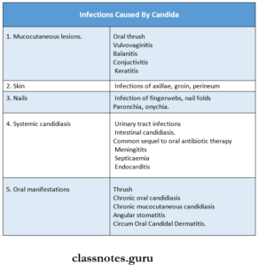 Mycology Virology Short And Long Essay Question And Answers - Class Notes