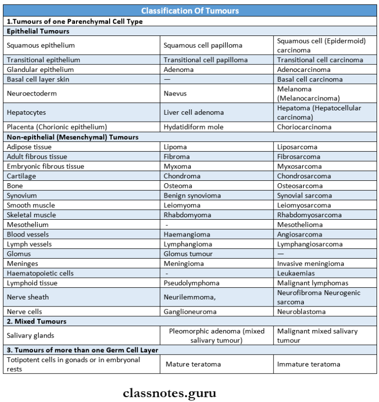 Pathology Neoplasia Short And Long Essay Question And Answers - Class Notes