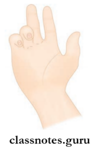 Median Nerve - Class Notes