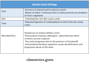 Oral Microbiology Short And Long Essay Question And Answers - Class Notes