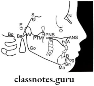 Cephalometrics Question And Answers - Class Notes