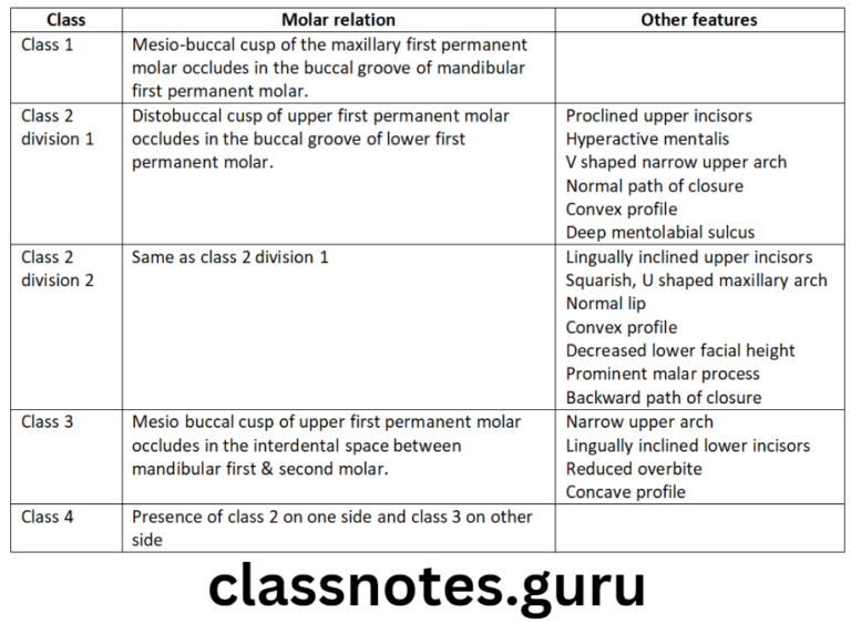 Classification Of Malocclusion Question And Answers - Class Notes