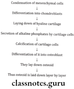 Orthodontics Growth And Development Question And Answers - Class Notes