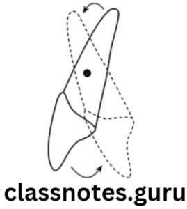 Orthodontic Tooth Movement Question And Answers - Class Notes