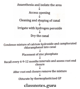 Pedodontics Archives - Class Notes