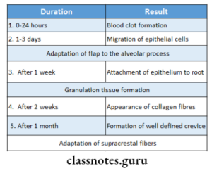 Periodontal Flap - Class Notes