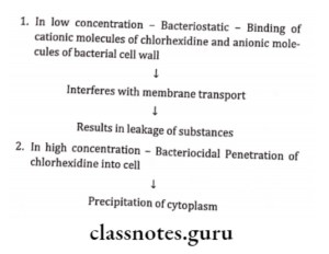 Plaque Control - Class Notes
