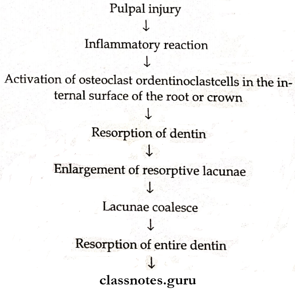 Regressive Alteration Of The Teeth Oral Pathology Essay Question And ...
