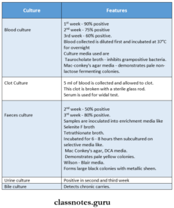 Salmonella Bacteriology - Class Notes