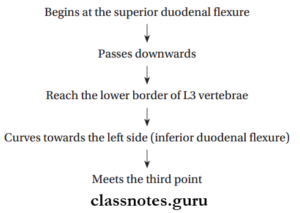Abdomen and Pelvis Archives - Page 2 of 2 - Class Notes