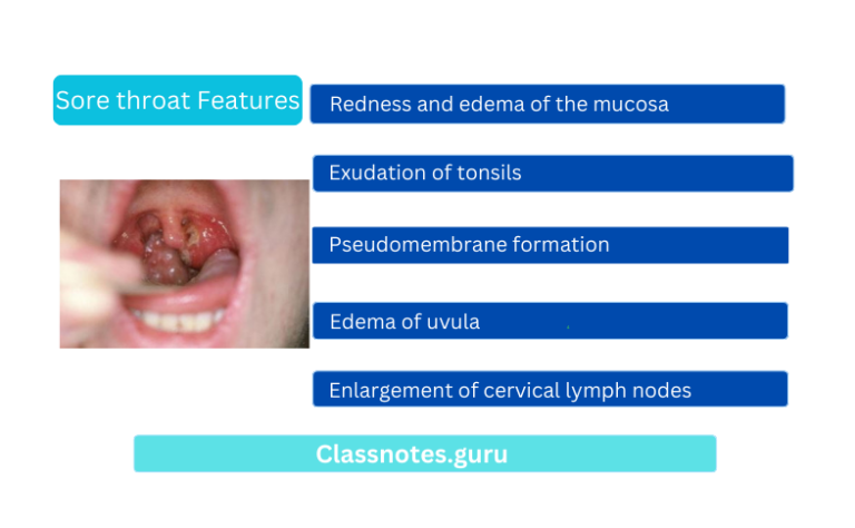 Clinical Microbiology Short Essay Question And Answers - Class Notes
