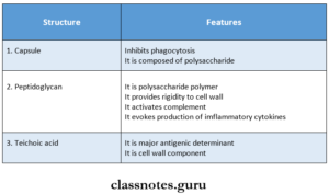 Staphylococcus - Class Notes