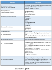 Staphylococcus - Class Notes