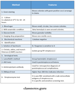 Streptococcus - Class Notes