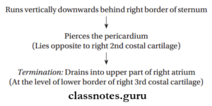 Vena Cava: Function and Anatomy - Class Notes