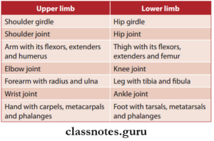 Bones of the Upper Limb - Class Notes