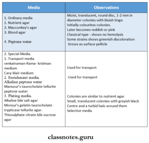 Vibrio Bacteriology - Class Notes