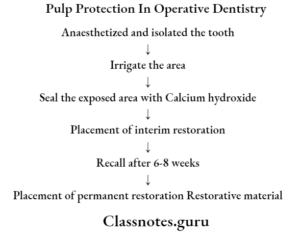 Pulp Protection Question And Answers - Class Notes