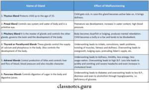 Different Types Of Endocrine Glands In Human Body - Class Notes