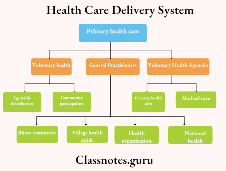 Health Care Delivery System Question And Answers - Class Notes