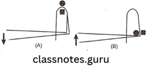 Removable Orthodontic Appliance Question And Answers - Class Notes