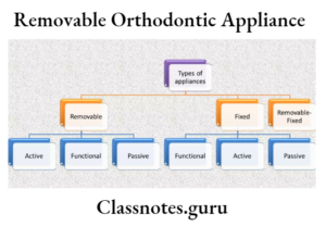 Removable Orthodontic Appliance Question And Answers - Class Notes