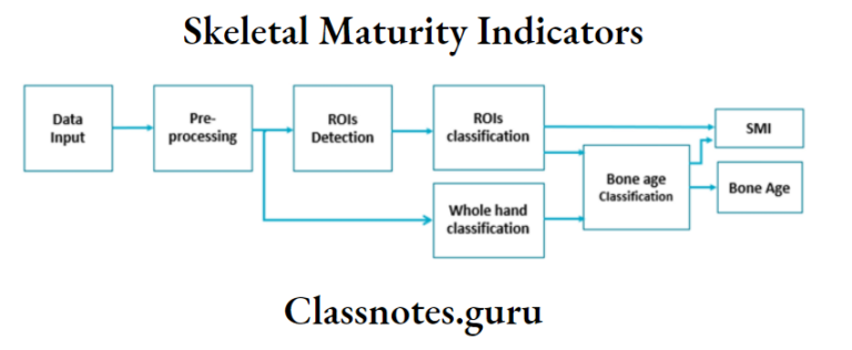 Skeletal Maturity Index Question And Answers - Class Notes