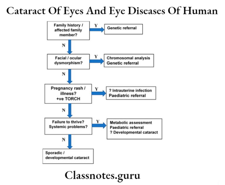 List Of Eye Diseases With Pictures - Class Notes