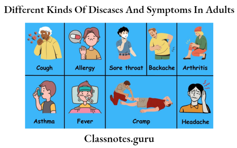 Different Kinds Of Diseases And Symptoms In Adults - Class Notes