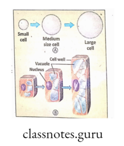 Class 10 Science Notes For Continuity Of Life - Class Notes
