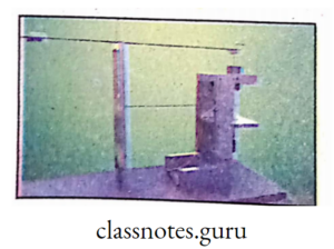 Class 10 Science Notes For Control And Co-Ordination In Living Organism ...