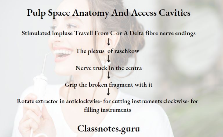 Pulp Space Anatomy And Access Cavities Question And Answers - Class Notes