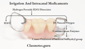 Irrigation And Intracanal Medicaments Question And Answers - Class Notes